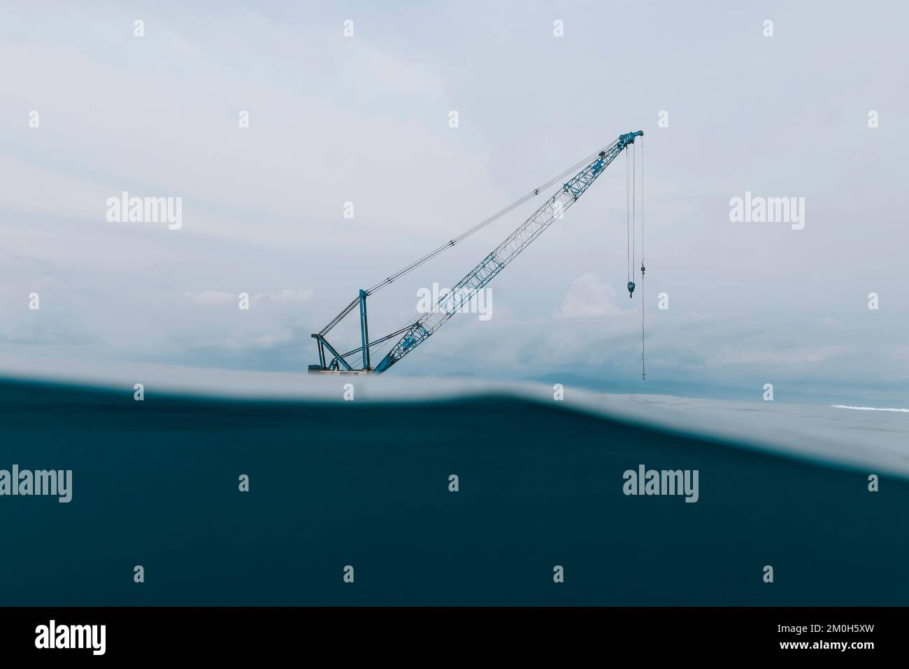 Low angle view of crane at ocean coast Stock Photo - Alamy