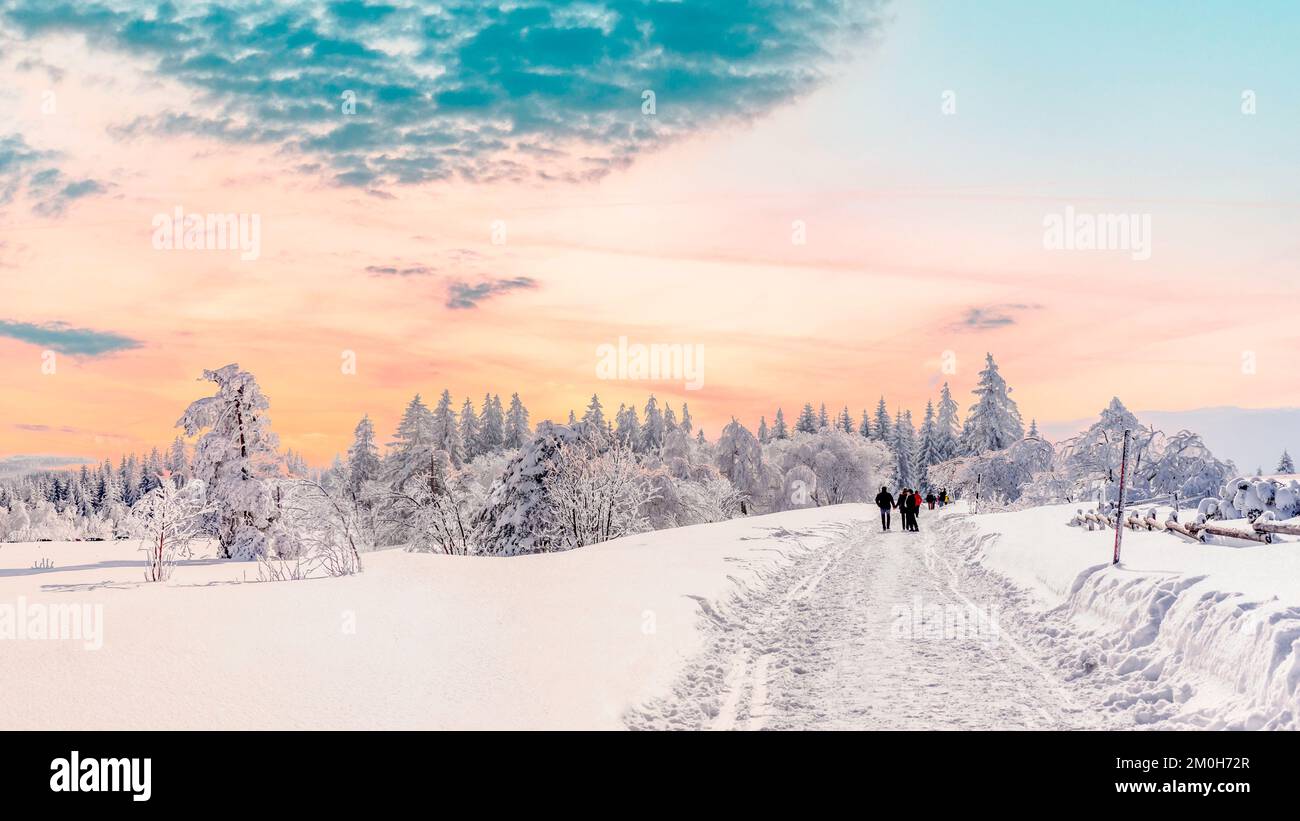 Black Forest, winter landscape, germany Stock Photo - Alamy
