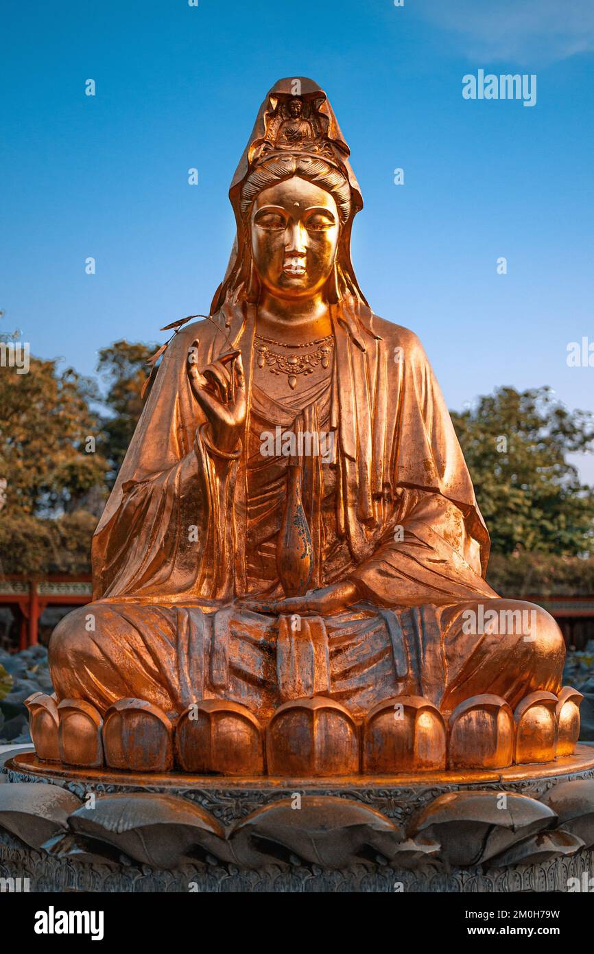 Golden Buddha statue at Chinese park Baomo Garden Guangzhou Stock Photo ...