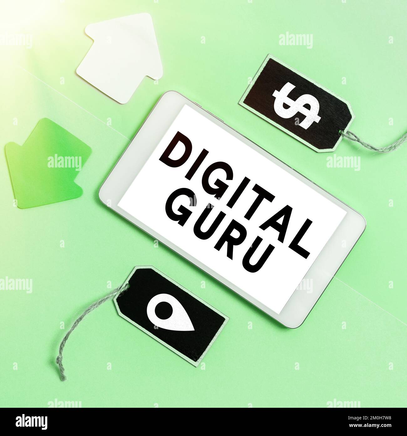 Text sign showing Digital Guru. Business idea teacher and intellectual ...