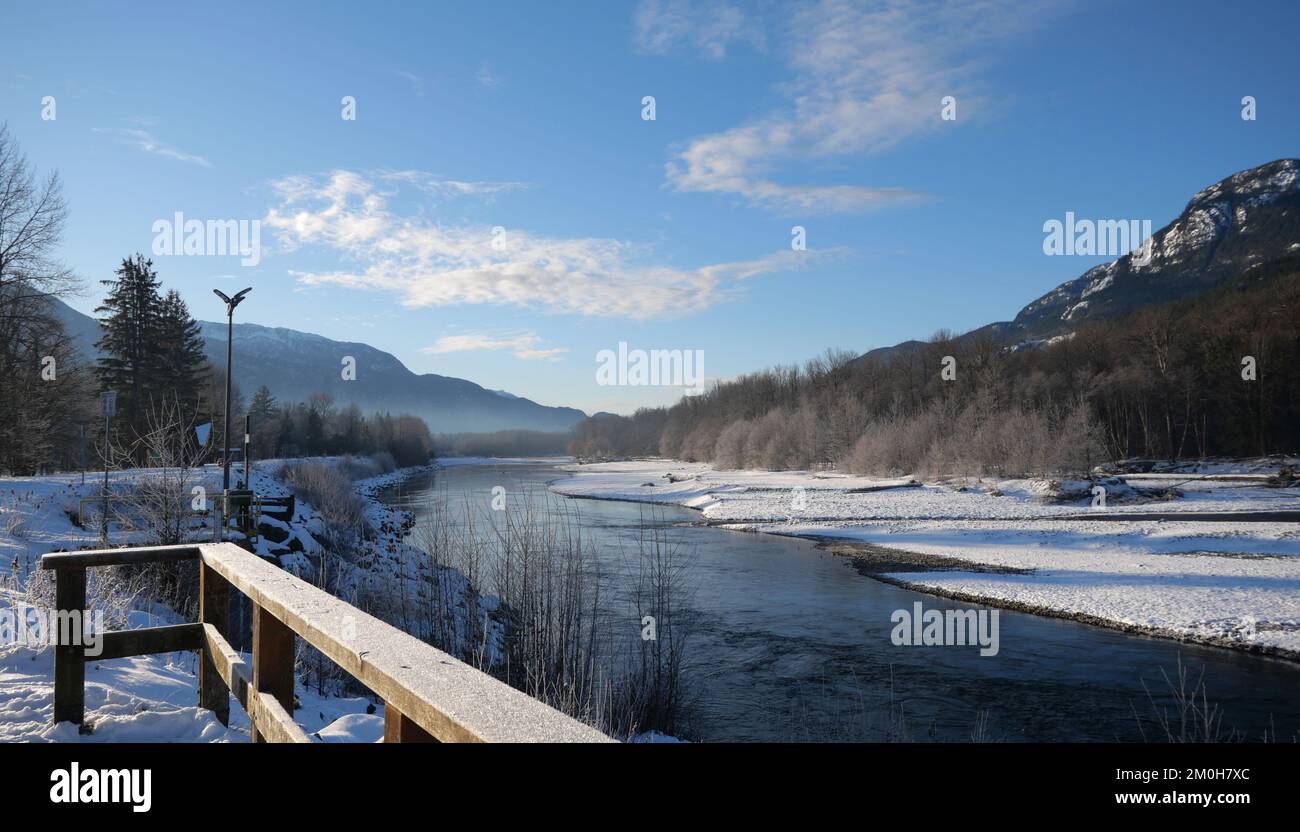 Brackendale eagles provincial park hi-res stock photography and images ...