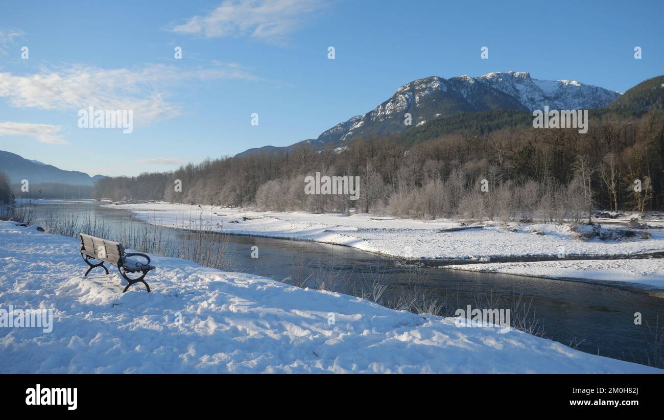 Brackendale hi-res stock photography and images - Alamy