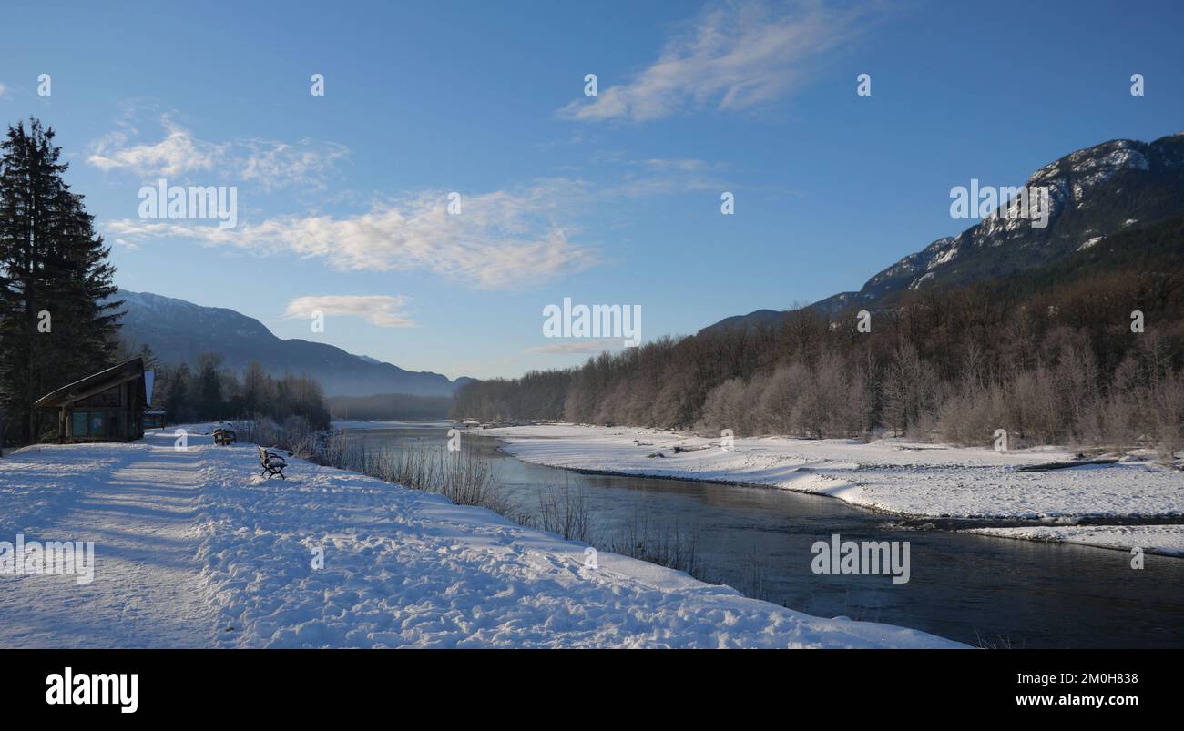 Brackendale eagles provincial park hi-res stock photography and images ...