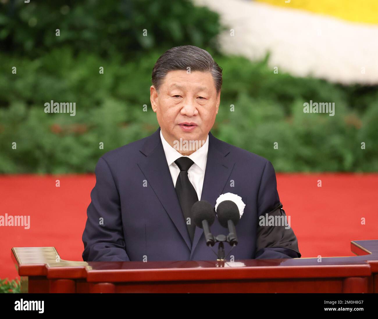 China beijing jiang zemin npc hi-res stock photography and images - Alamy