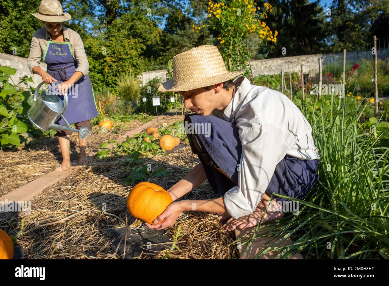 France, Essonne, Yerres, Propriete Caillebotte, vegetable garden ...