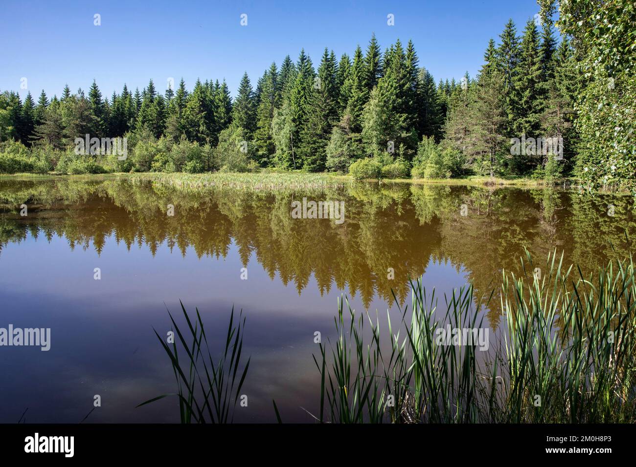 France, Lozere, Luc, Auradou pool Stock Photo - Alamy