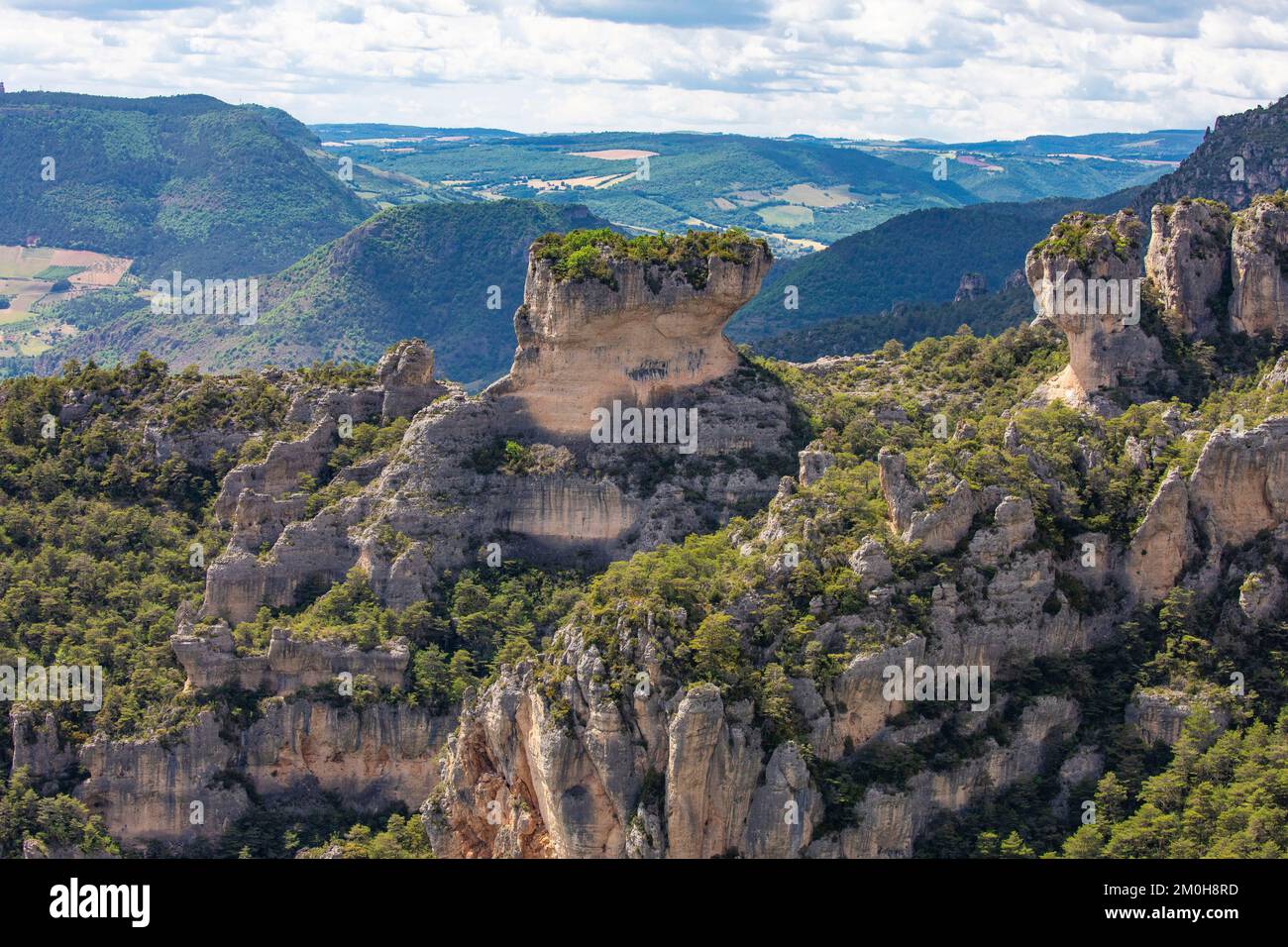 France, Lozere, Le Rozier, Gorges du Tarn, Gorges de la Jonte, cornice ...