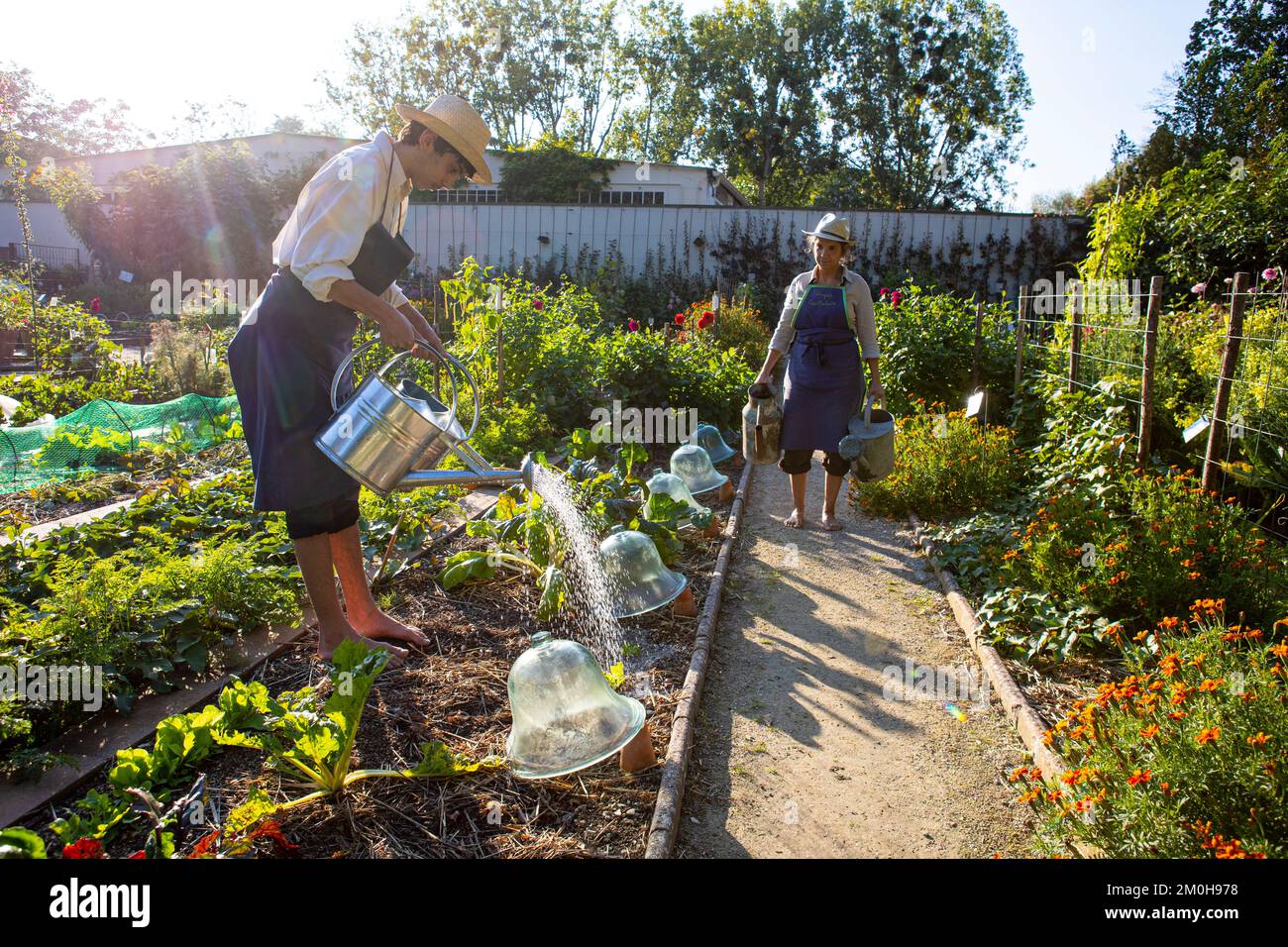 France, Essonne, Yerres, Propriete Caillebotte, vegetable garden ...