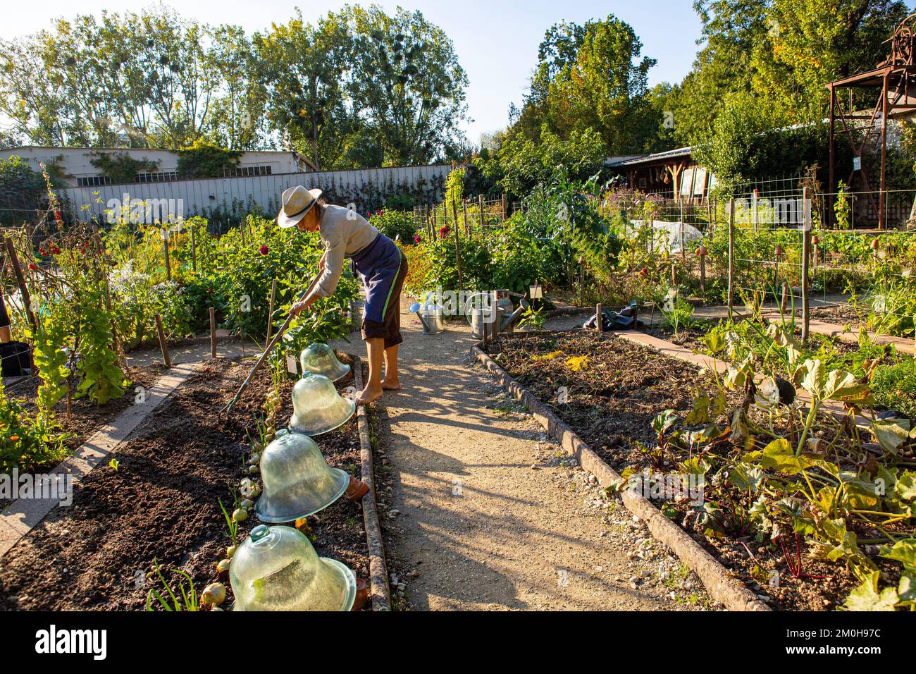 France, Essonne, Yerres, Propriete Caillebotte, vegetable garden ...