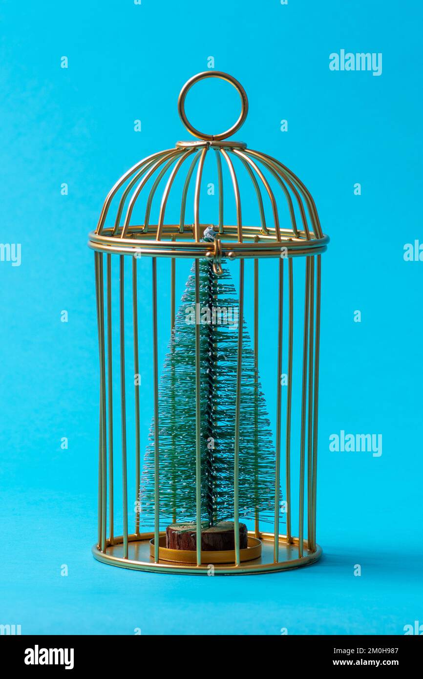 Tree cage hi-res stock photography and images - Alamy