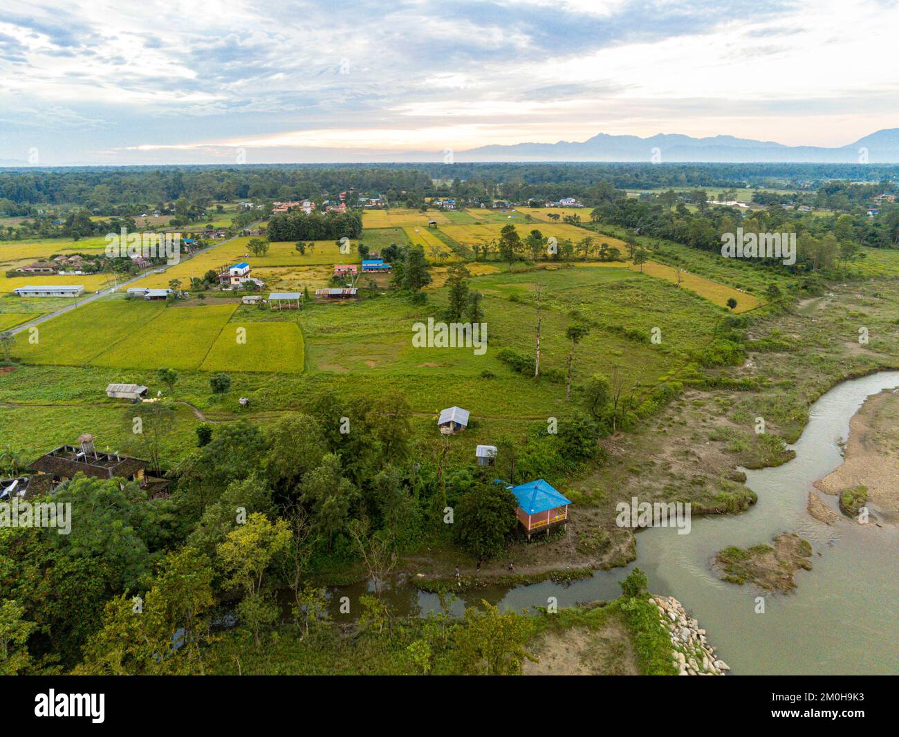 Nepal, Chitwan region, Ratnanagar, rice terraces (aerial view Stock ...