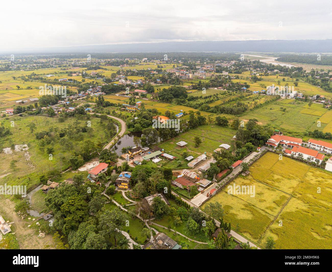 Nepal, Chitwan region, Ratnanagar, rice terraces (aerial view Stock ...