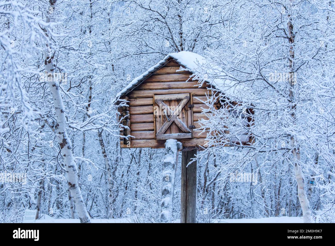 Sweden, Norbotten County, Jokkmokk, traditional wooden ate guard in a ...