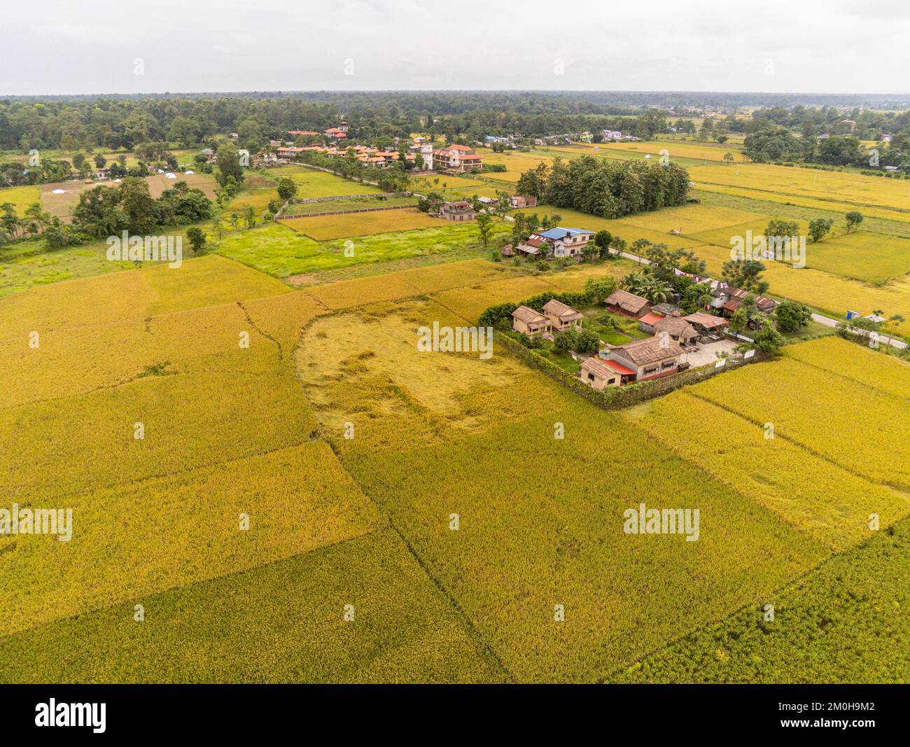 Nepal, Chitwan region, Ratnanagar, rice terraces (aerial view Stock ...