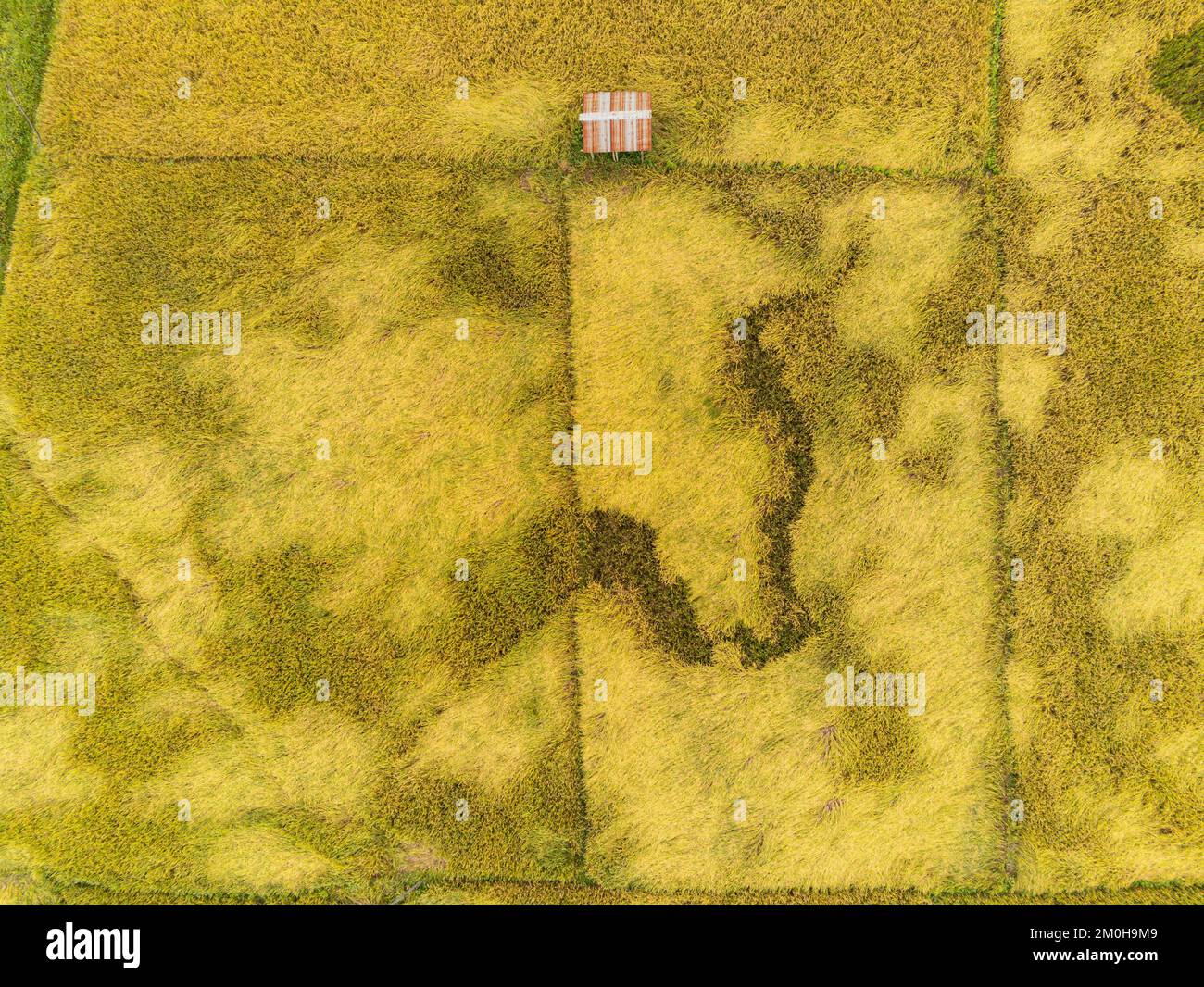 Chitwan nepal aerial hi-res stock photography and images - Alamy