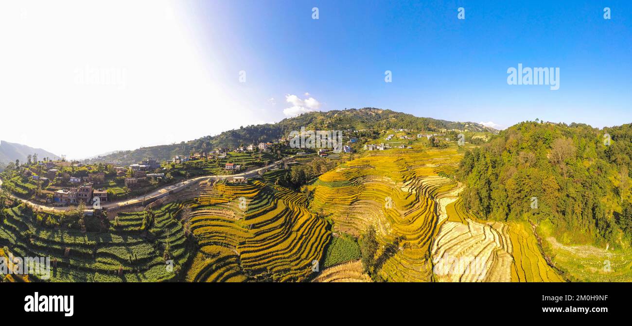Nepal, Nagarkot region, surroundings of Tukucha Nala, rice fields ...