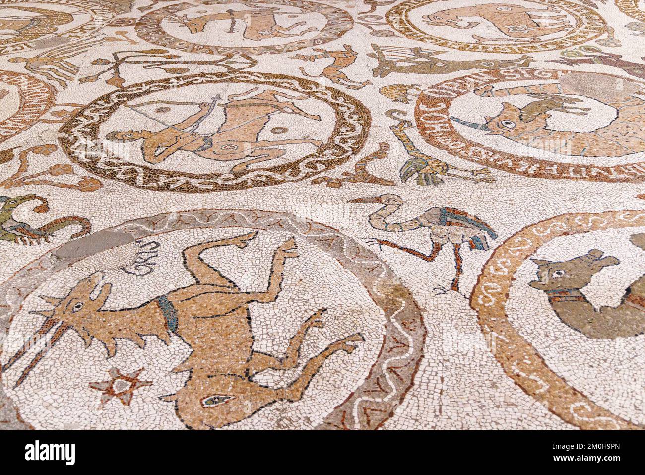Italy, Apulia, Otranto, Santa Maria Annunziata cathedral, floor mosaic ...