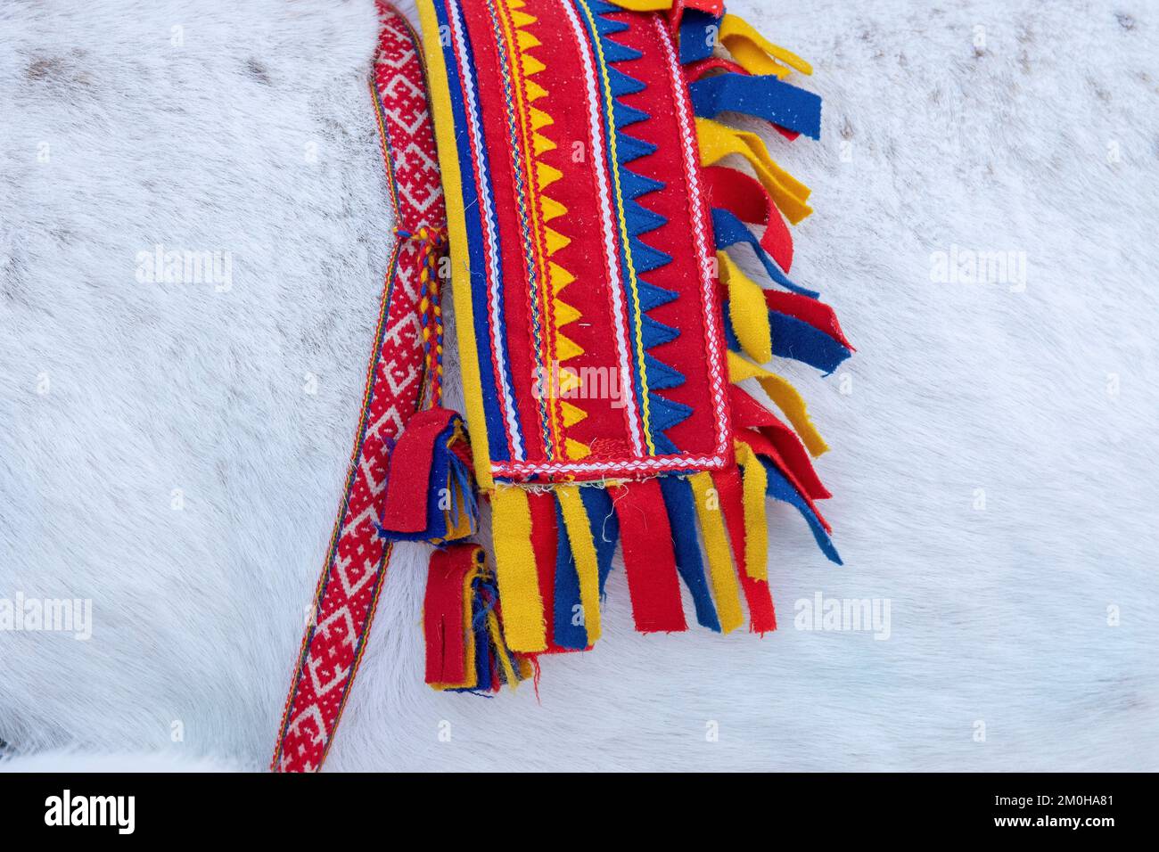 Sweden, Norbotten County, Jokkmokk, woolen reindeer collar in Sami ...