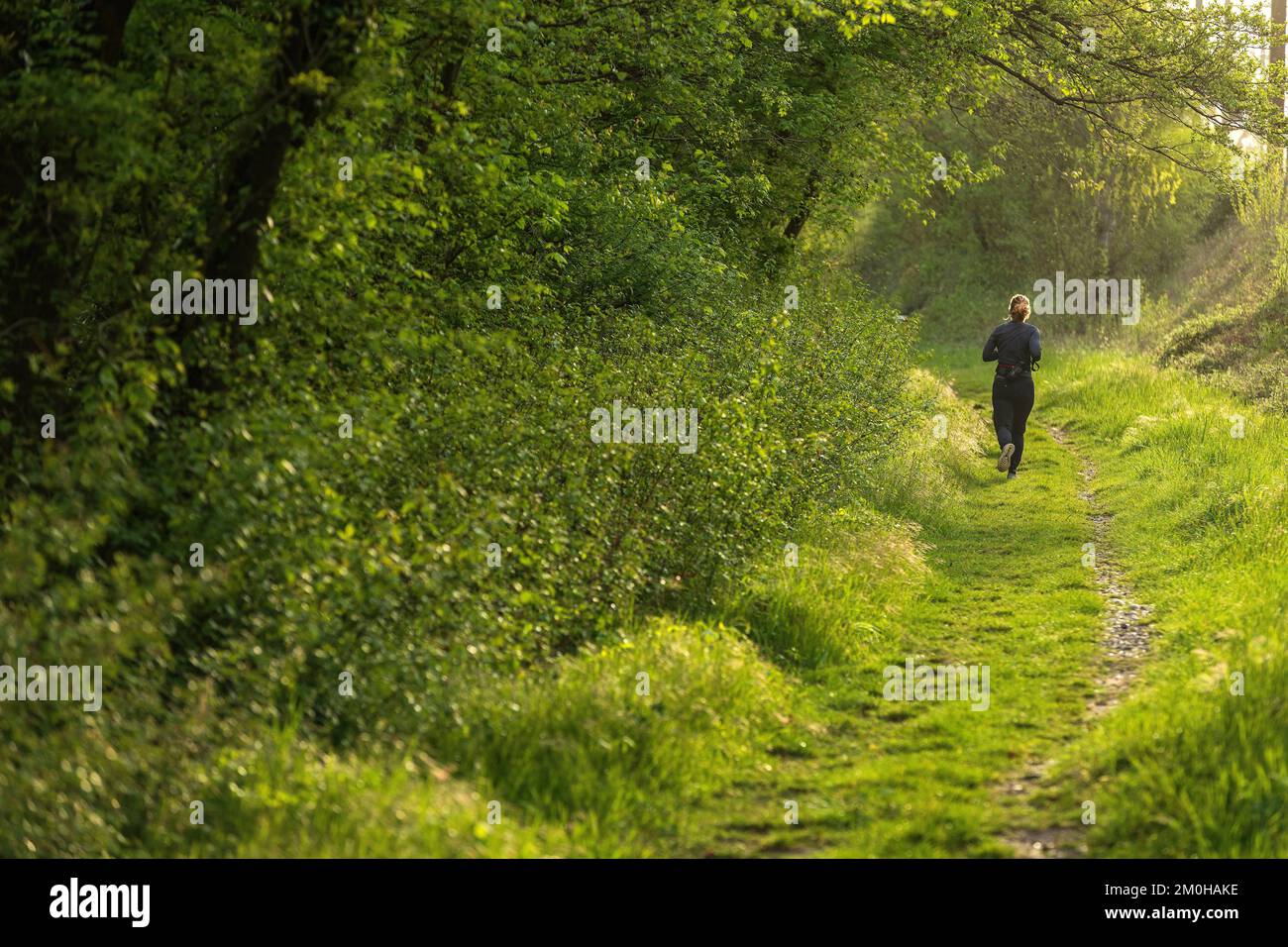 France, Rhone, Saint Romain en Gal, island of Barlet Stock Photo - Alamy