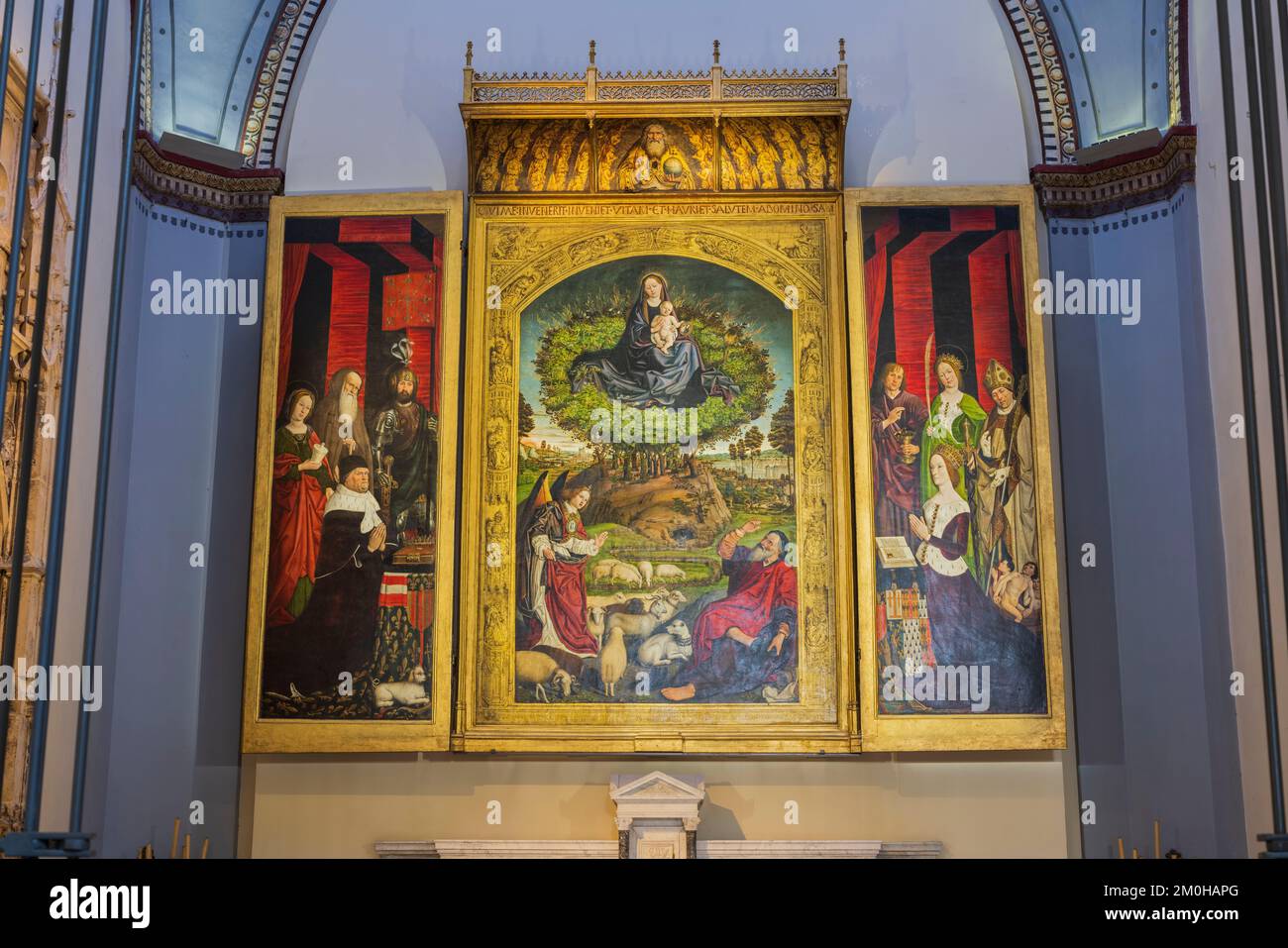 France, Bouches du Rhone, Aix en Provence, Saint Sauveur Cathedral ...