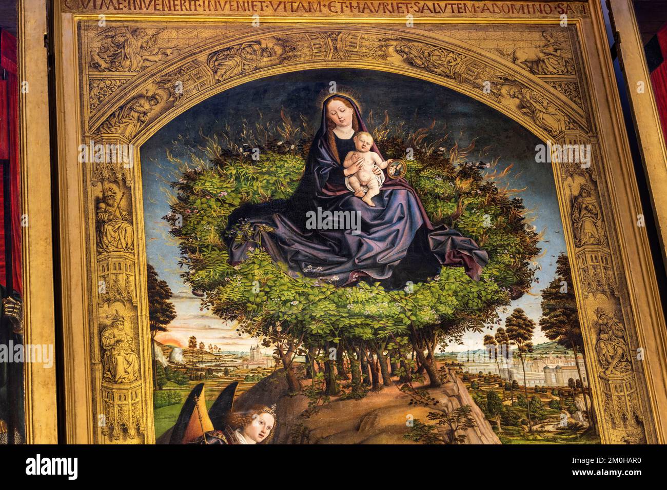 France, Bouches du Rhone, Aix en Provence, Saint Sauveur Cathedral ...