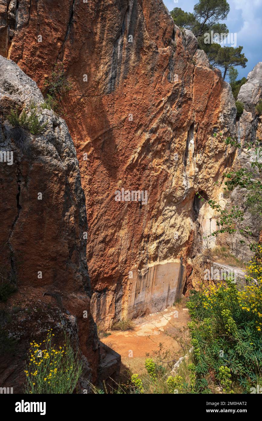 France, Bouches du Rhone, Pays d'Aix, Beaurecueil, Departemental Forest ...