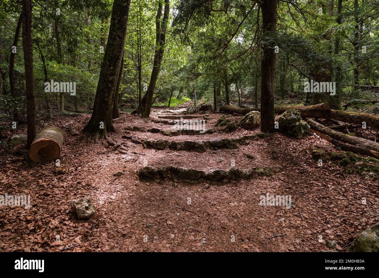 France, Var, Provence Verte, Massif of La Sainte Baume, Plan d'Aups ...