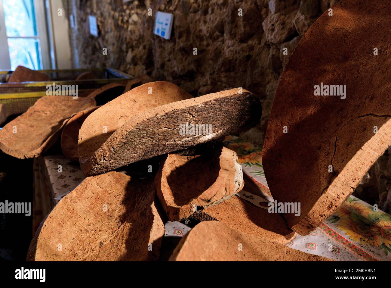France, Var, Massif des Maures, Flassans sur Issole, Lieges Junque ...