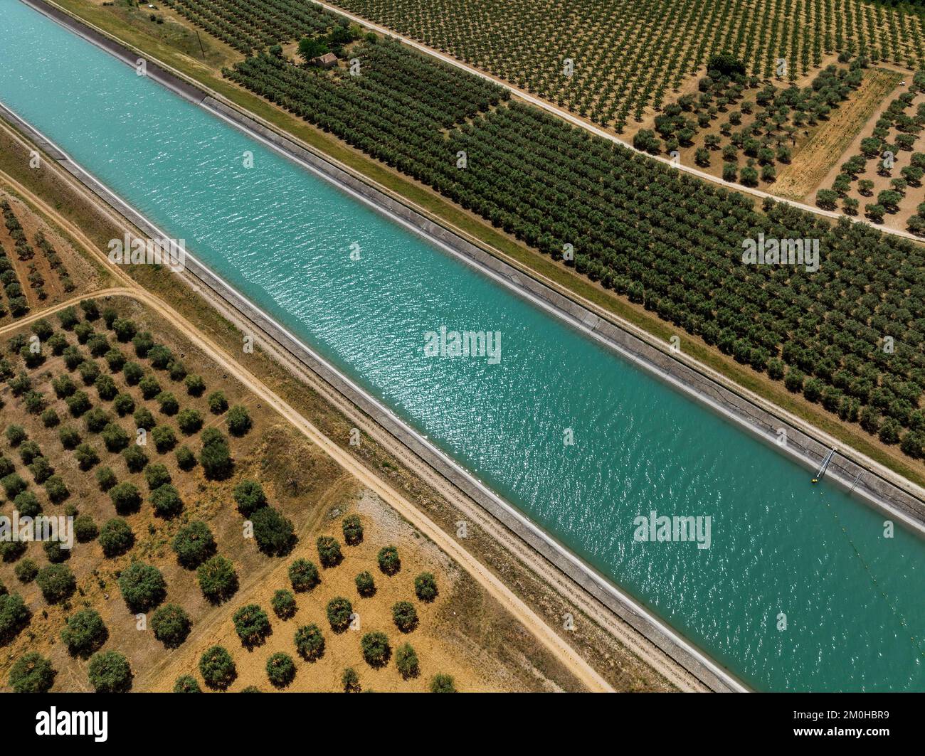 France, Alpes de Haute Provence, Les Mees, field of olive trees, EDF ...