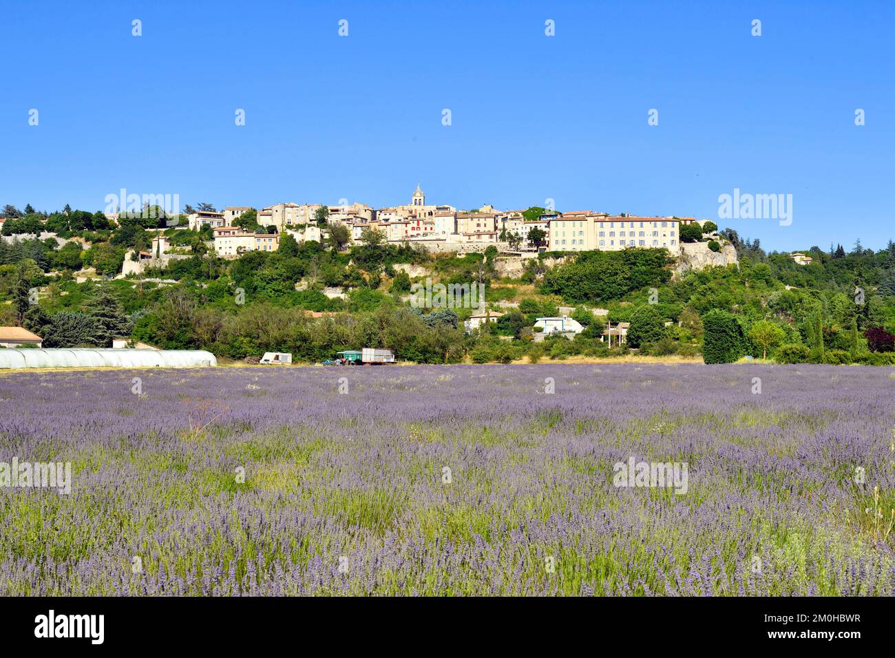 France, Vaucluse, Parc Naturel Regional du Mont Ventoux, Sault district ...