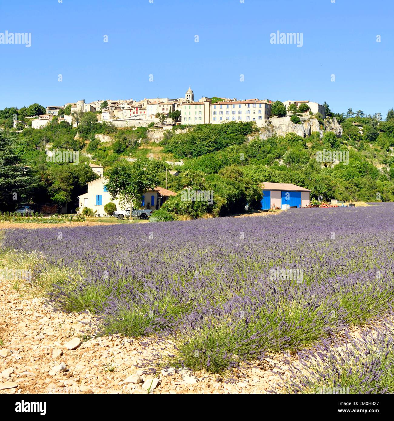 France, Vaucluse, Parc Naturel Regional du Mont Ventoux, Sault district ...