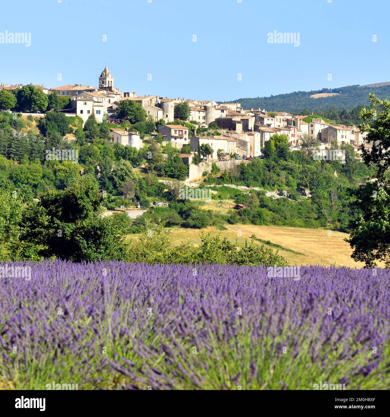 France, Vaucluse, Parc Naturel Regional du Mont Ventoux, Sault district ...