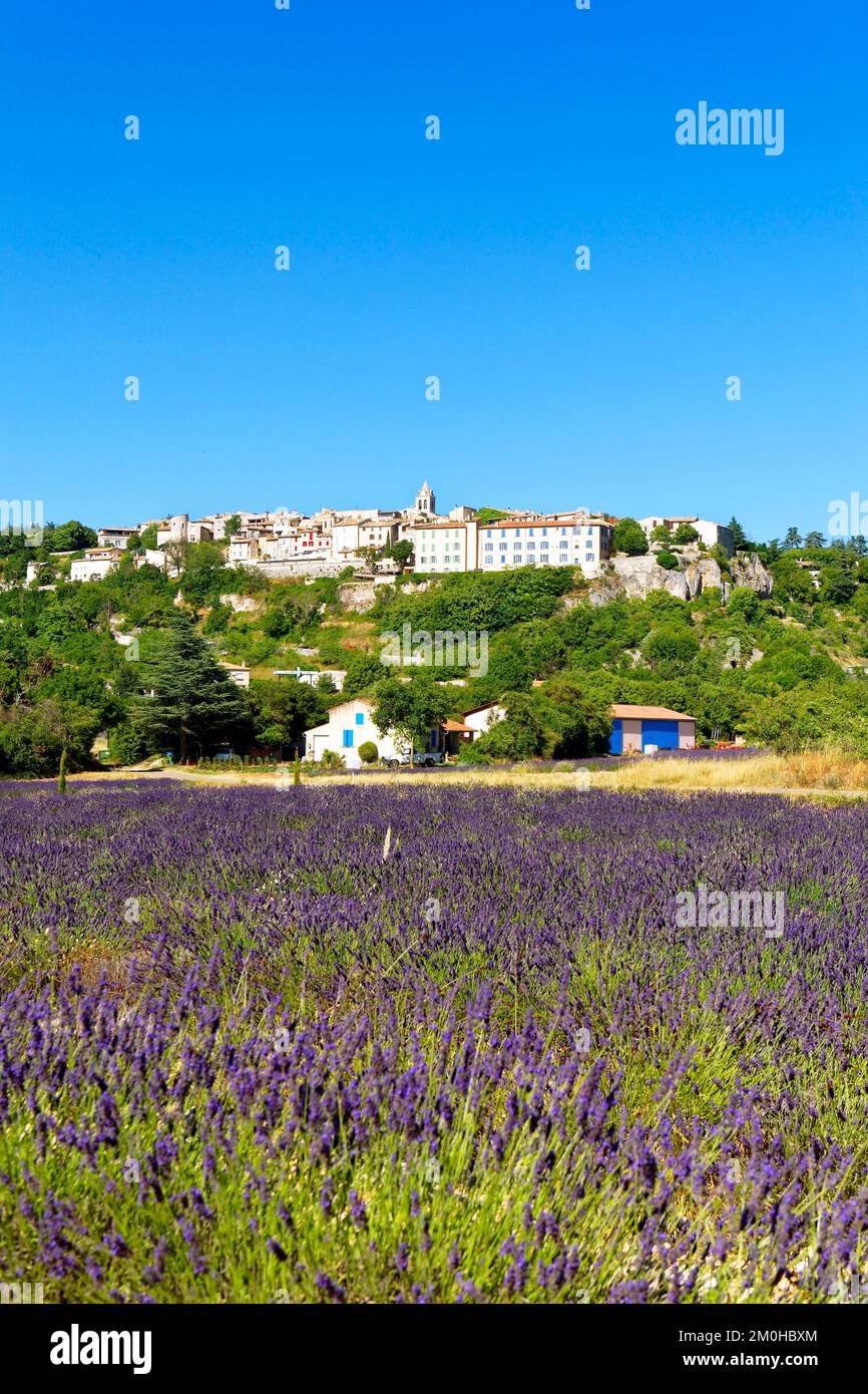 France, Vaucluse, Parc Naturel Regional du Mont Ventoux, Sault district ...