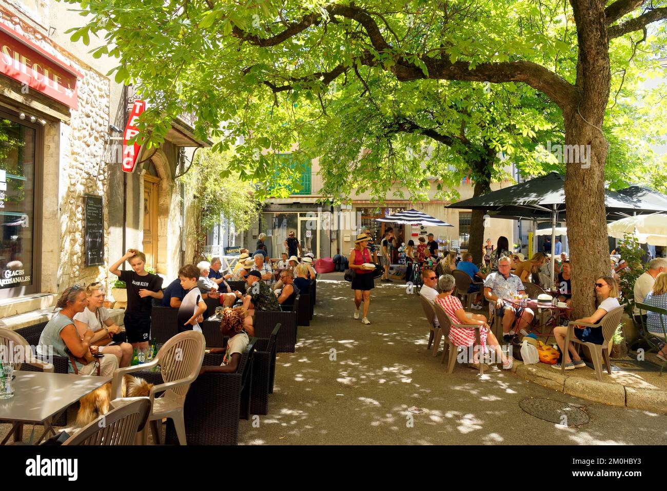France, Vaucluse, Parc Naturel Regional du Mont Ventoux, Sault district ...