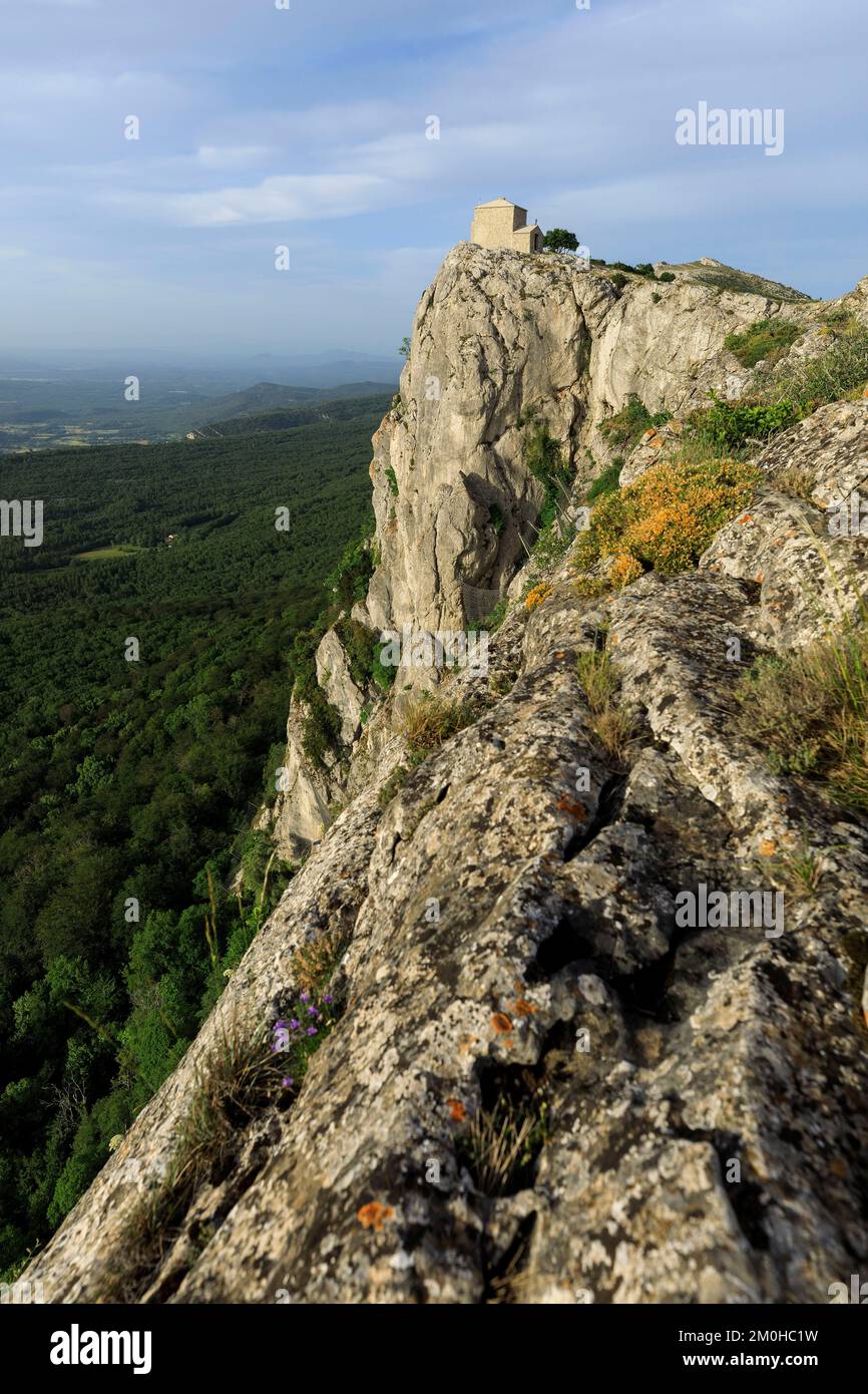 France, Var, Regional Natural Park of Sainte Baume, Provence Verte ...
