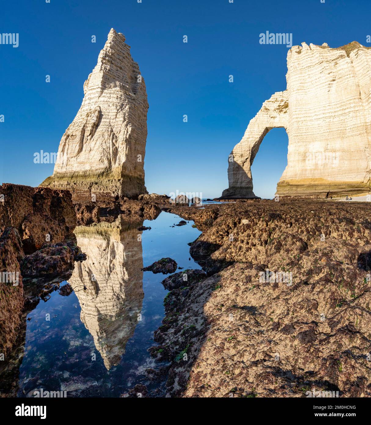 France, Seine Maritime, Cote d'albatre, Etretat, the cliff, arch and ...