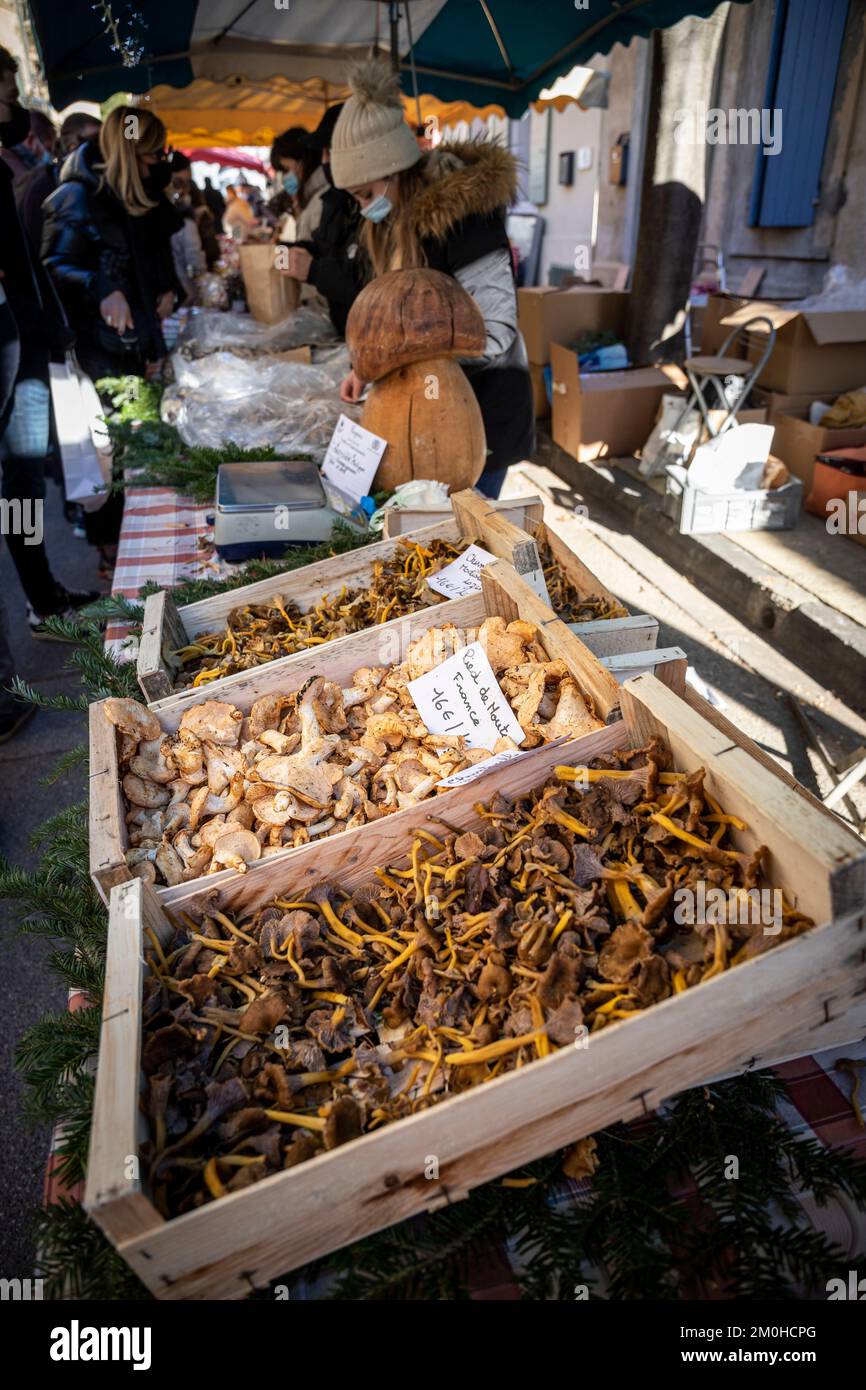 France, Bouches-du-Rh?ne, Rognes, The great Truffle and Gastronomy ...