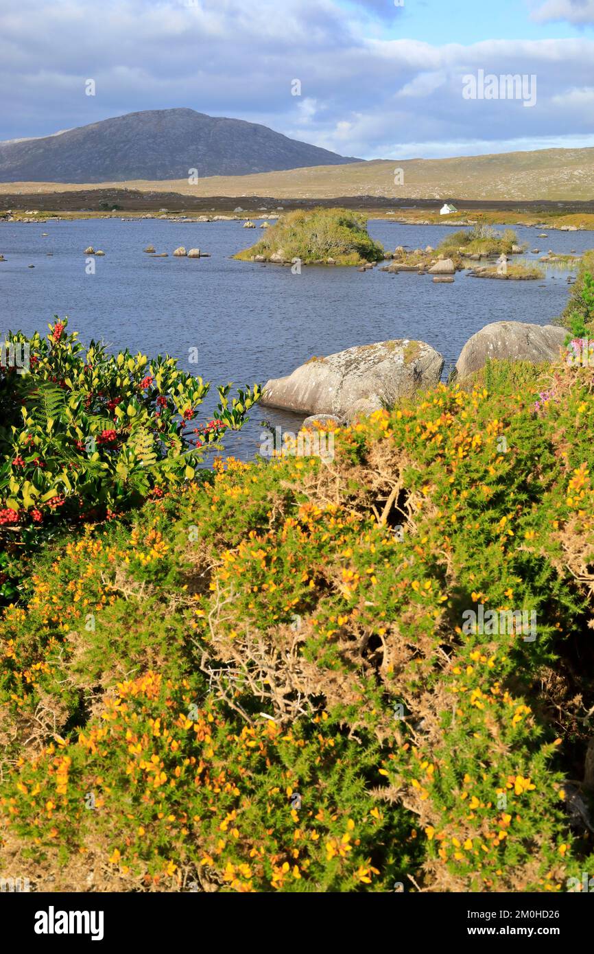 Ireland, Connacht province, Connemara, county Galway, Inver, isolated ...
