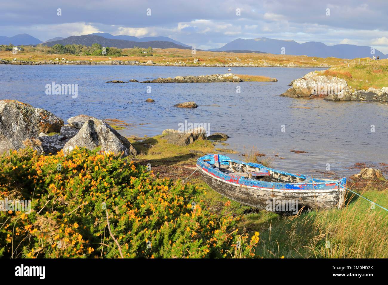 Ireland, Connacht province, Connemara, County Galway, Cashel, fishing ...