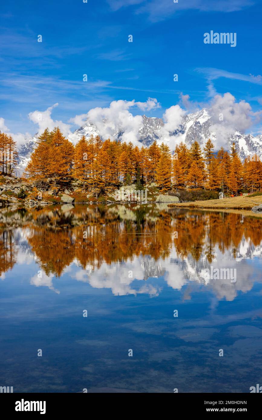 Italy, Aosta Valley, Val d'Arpy, Lake Arpy (2066 m) in the heart of the ...