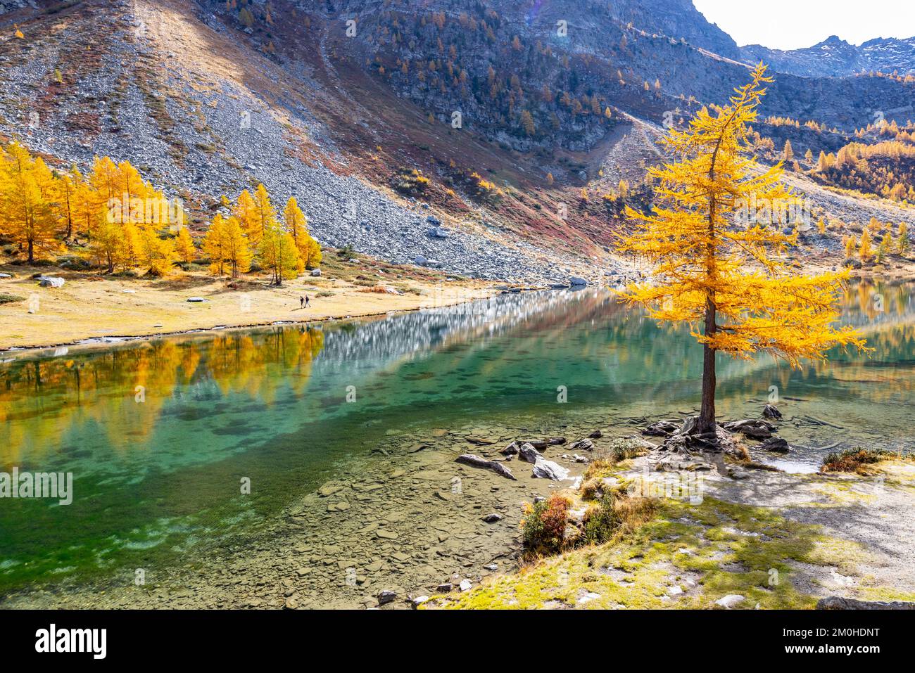Italy, Aosta Valley, Val d'Arpy, Lac d'Arpy (2066 m) in the heart of ...