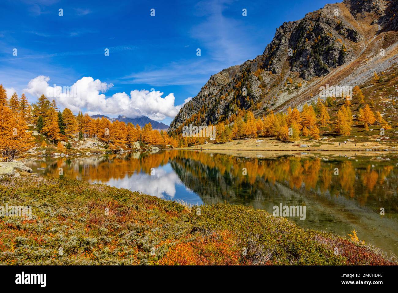 Italy, Aosta Valley, Val d'Arpy, Lac d'Arpy (2066 m) in the heart of ...