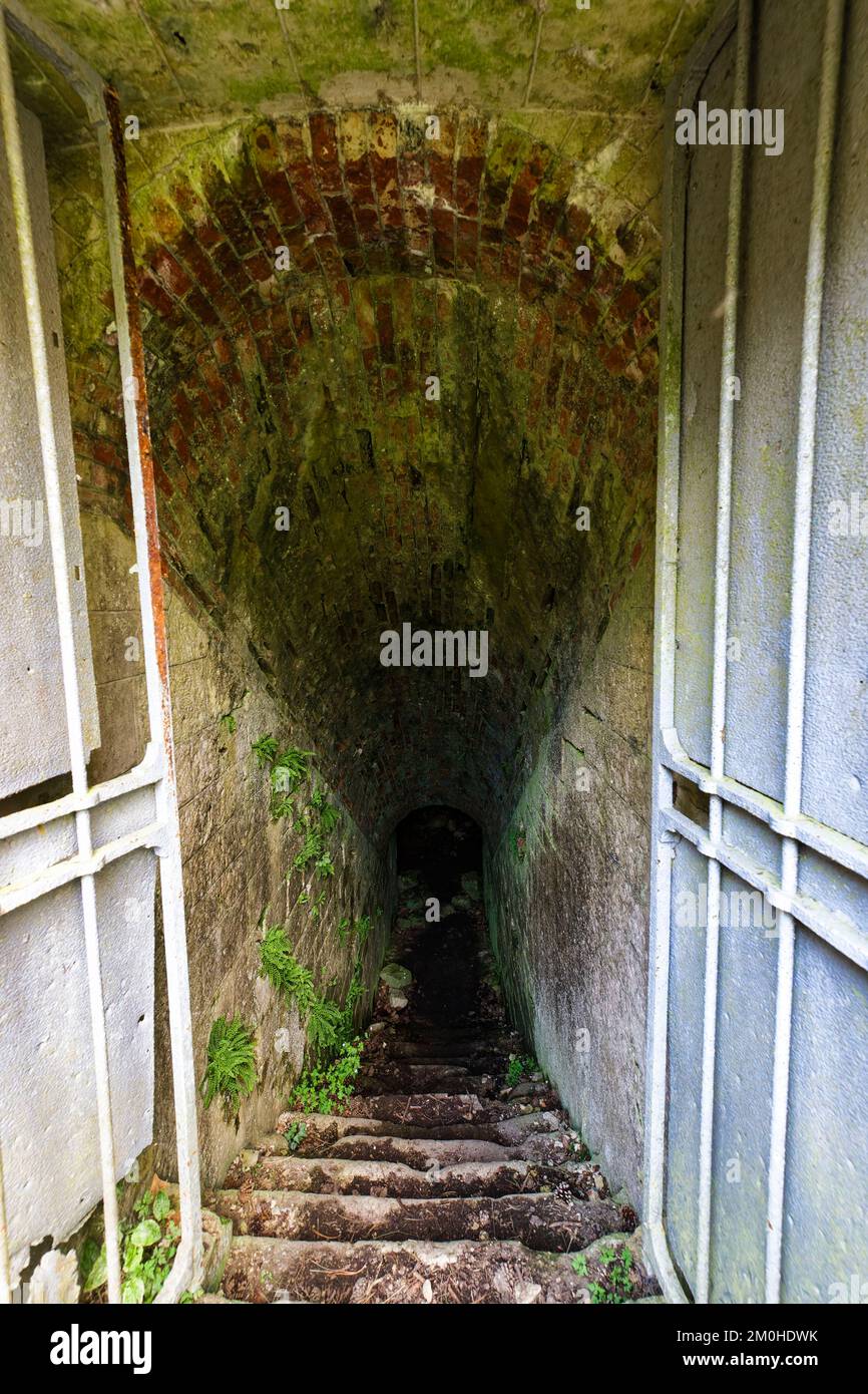 France, Meuse, Fleury-devant-Douaumont, bataille de Verdun, l'abri ...