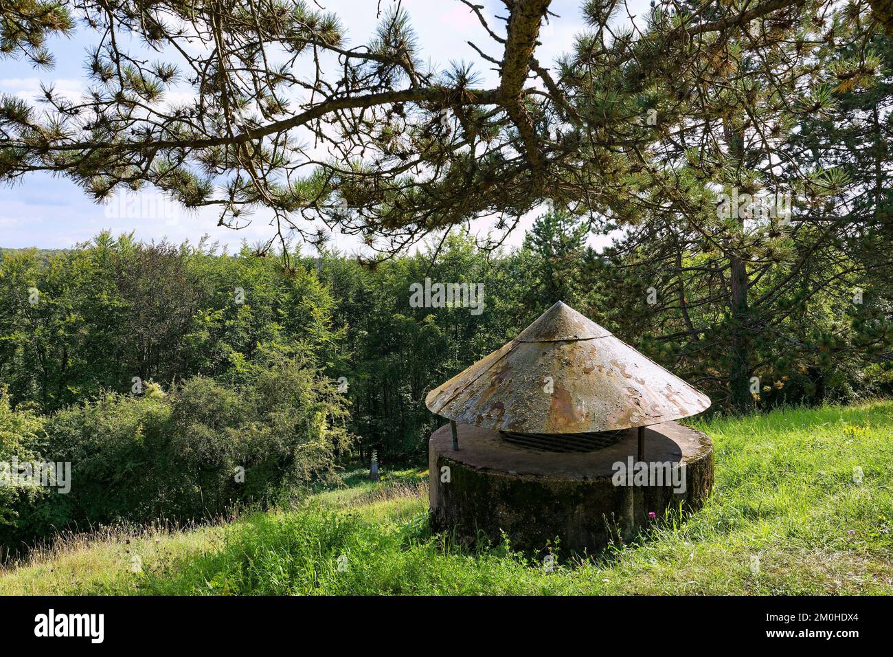 France, Meuse, Fleury-devant-Douaumont, bataille de Verdun, l'abri ...