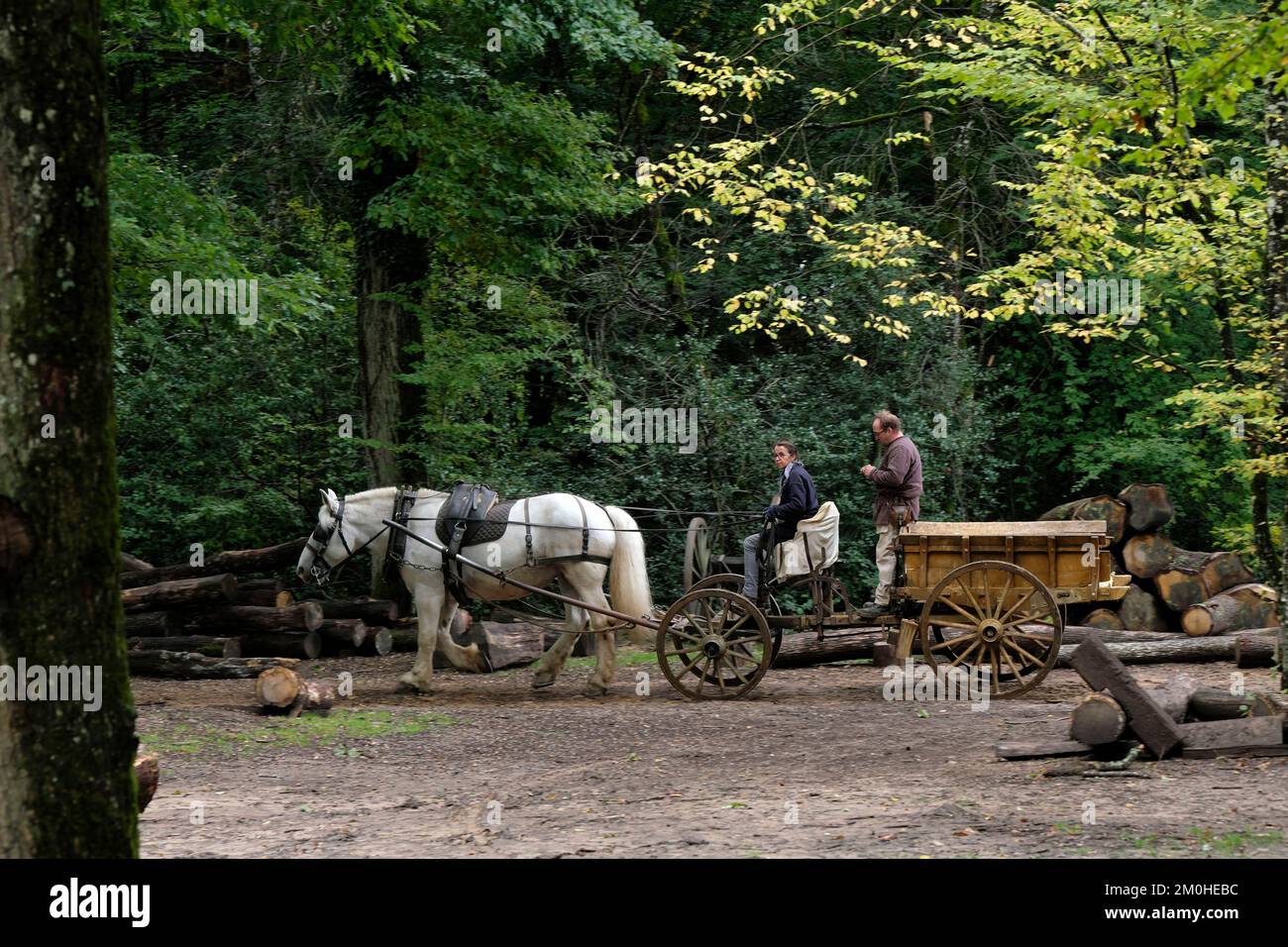 France, Yonne, Treigny, Guedelon castle, building site, wagon and ...