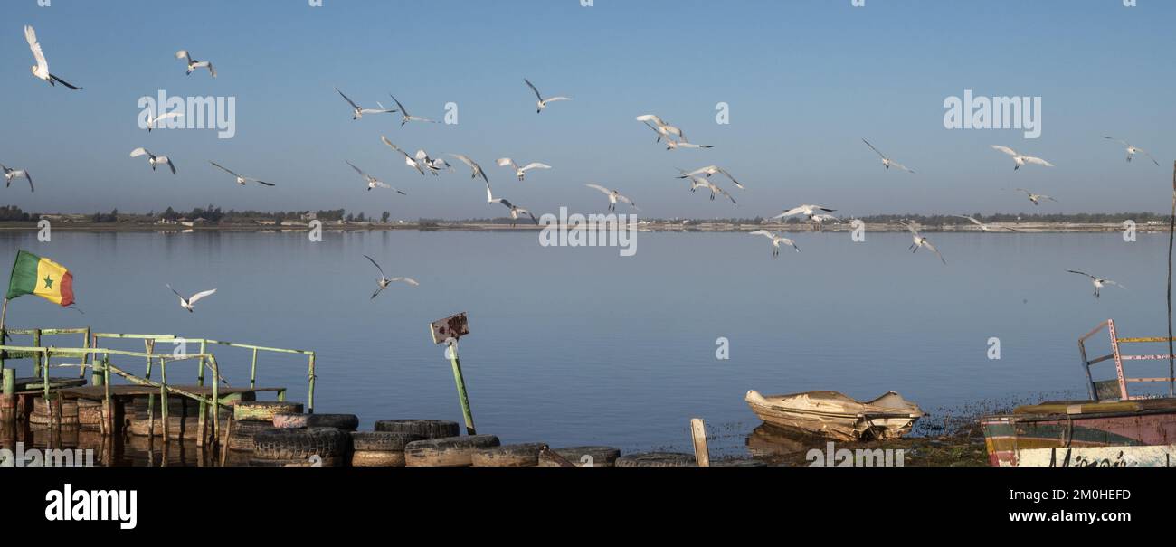 Senegal, Dakar district, pink lake, salt pickers' boats Stock Photo - Alamy