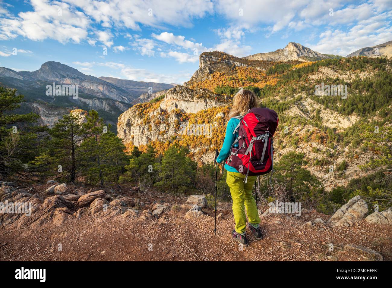 Andy goldsworthy tree hi-res stock photography and images - Alamy