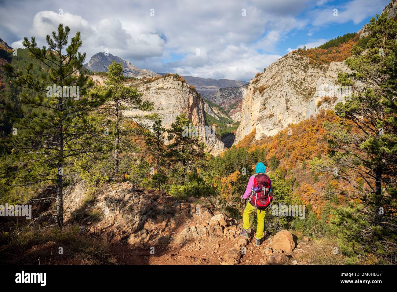 France, Alpes-de-Haute-Provence, Haute-Provence Geopark, La Javie ...