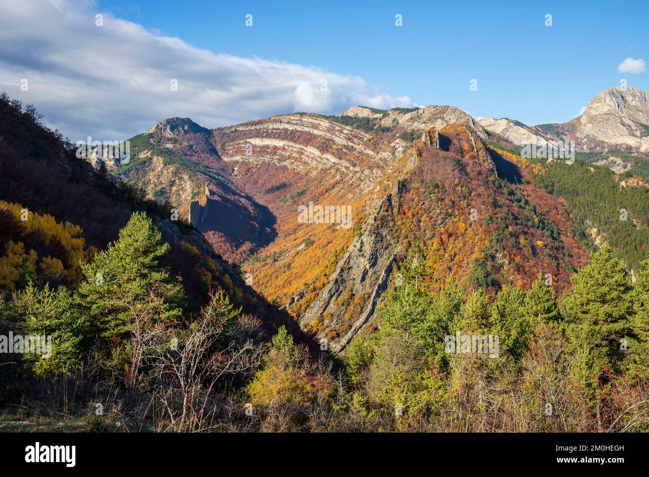Panorama of velodrome hi-res stock photography and images - Alamy