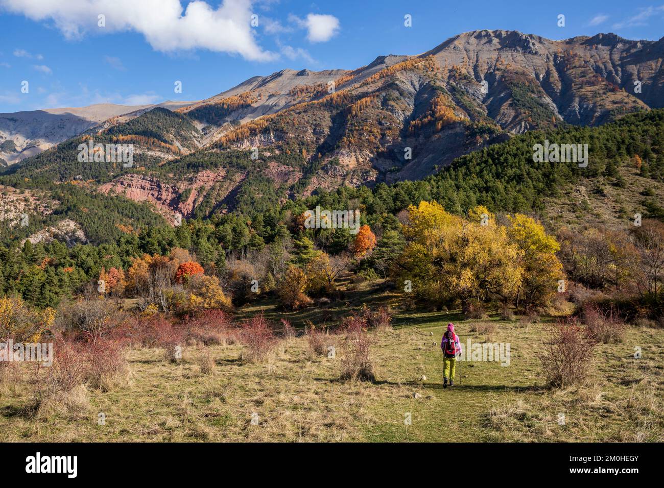 France, Alpes-de-Haute-Provence, Haute-Provence Geopark, La Javie, the ...